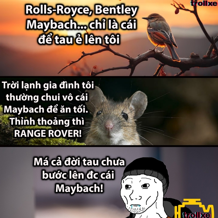 Thua cả chim chuột 🐧 - TROLL XE | Mạng Xã Hội Chơi Xe - Số 2 tại Việt Nam